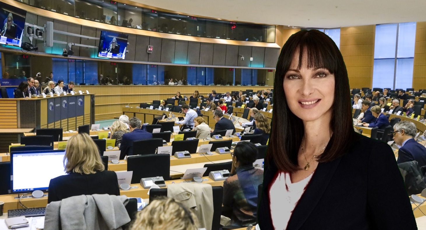 Η Έλενα Κουντουρά είναι η εισηγήτρια του Ευρωπαϊκού Κοινοβουλίου για ...